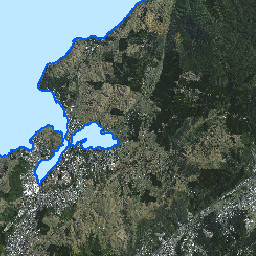 ArcGIS Web Application